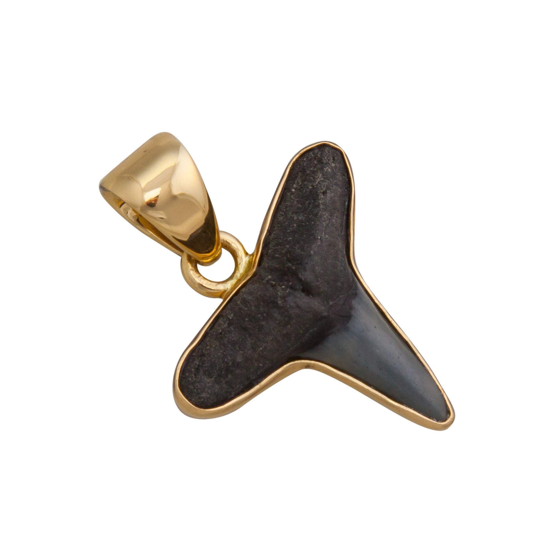 Alchemia Mini Fossil Shark Tooth Pendant - Charles Albert Inc