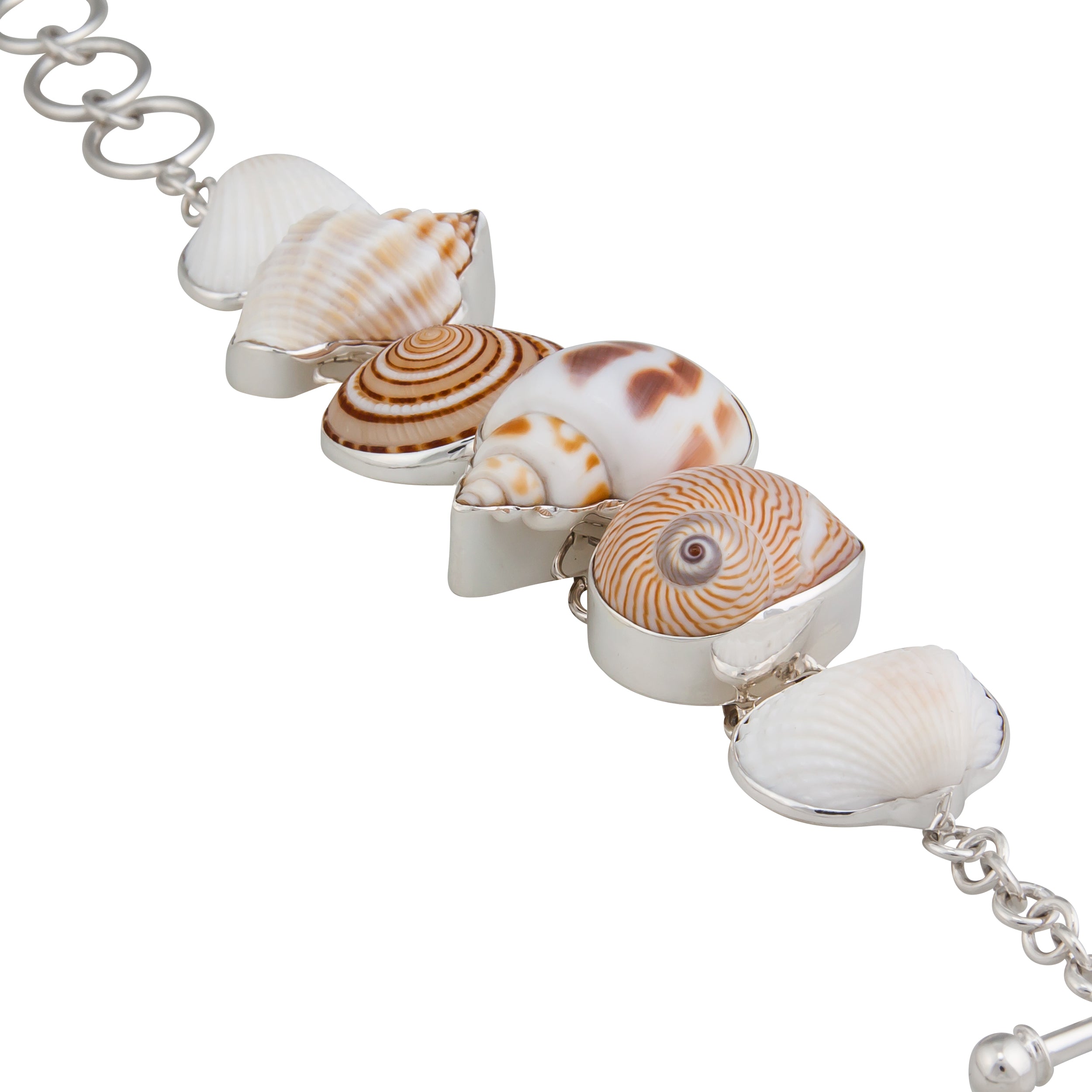 Sterling Silver Multi-Shell Bracelet - Charles Albert Inc